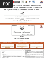 Ciclo Del Aedes Aegypti | PDF | Mosquito | Aedes aegypti