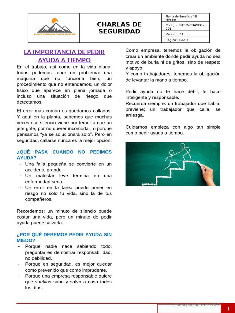 Importancia de Pedir Ayuda en Seguridad | PDF