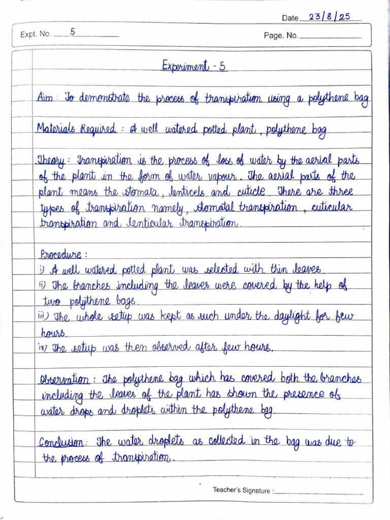 Biology Practical Experiment 5 To 10 | PDF | Zoology | Senses