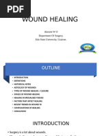 Mucoderm®: A Guide for Soft Tissue Grafting | PDF | Dental Implant ...