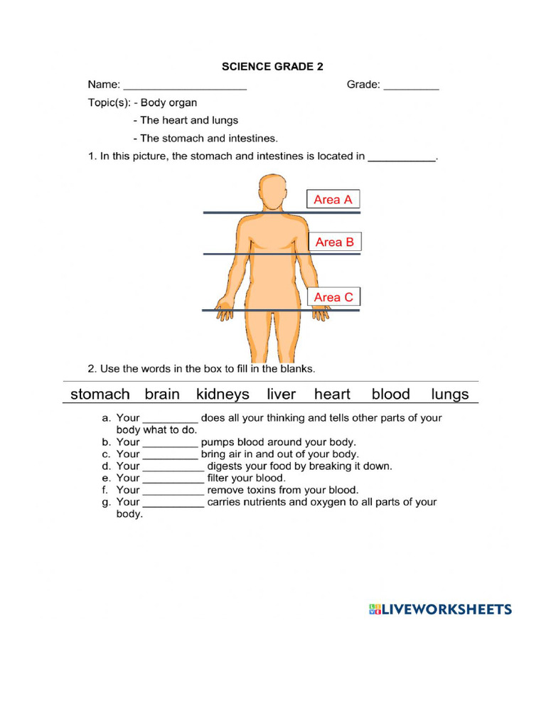 Human Body PW1 | PDF