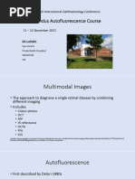 Photopic, Mesopic, and Scotopic Vision | PDF | Contrast (Vision ...