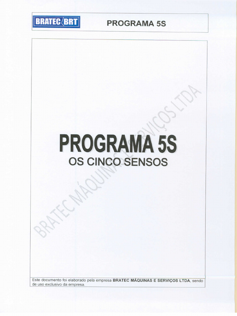 Programa 5s | PDF