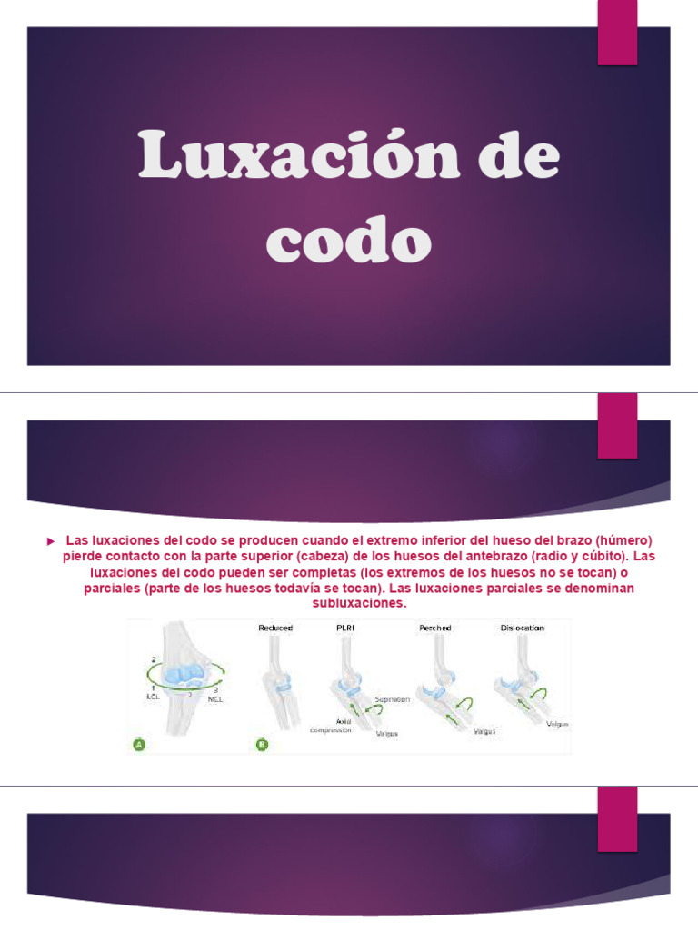 FX y LX Del Codo 2 | PDF | Codo | Sistema musculoesquelético