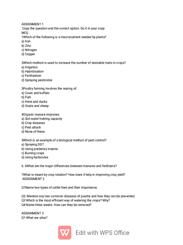 Cl8 August Assignment | PDF | Microorganism | Bacteria