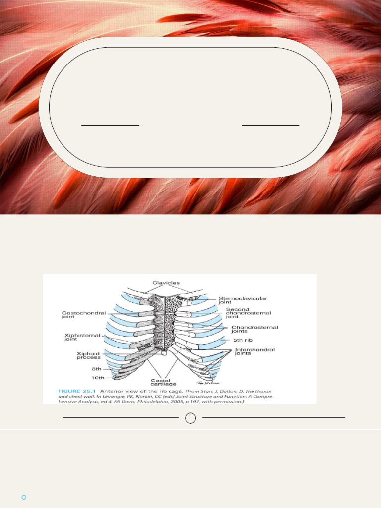 Breathing Exercise | PDF | Breathing | Exhalation