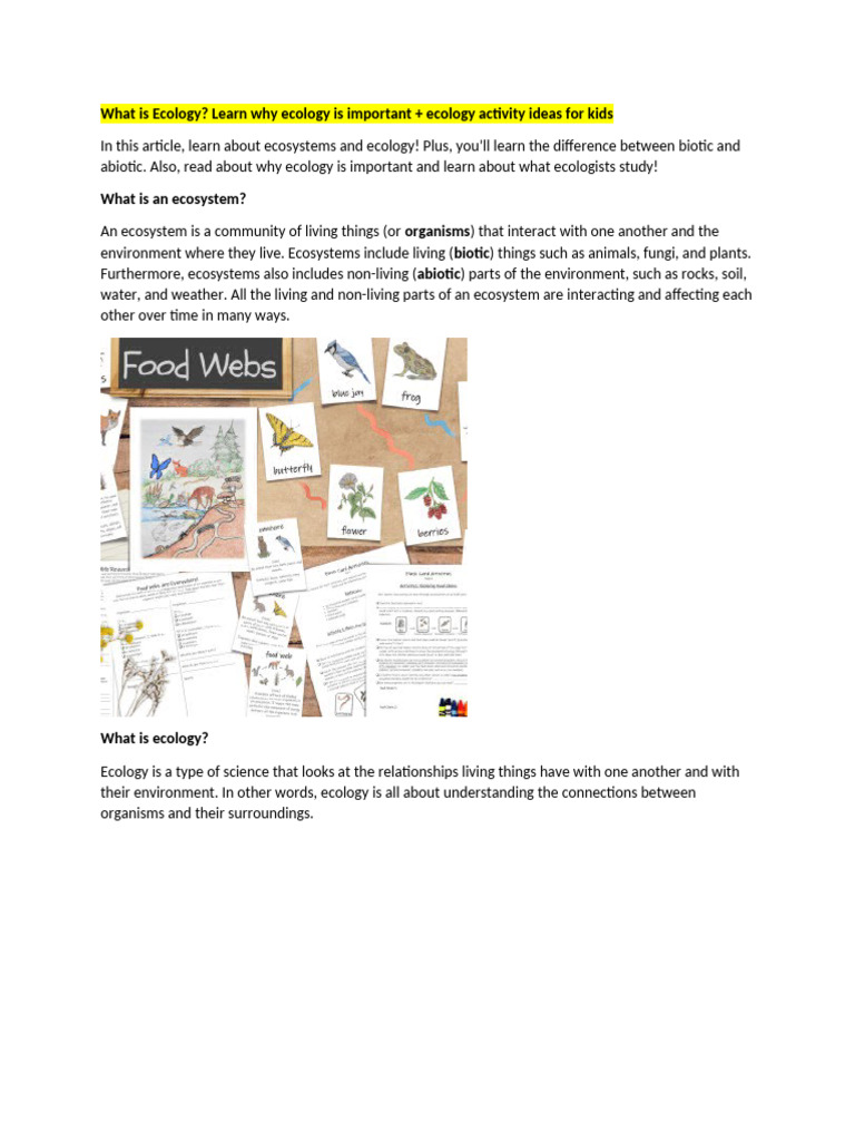 Ecology Basics and Activities for Kids | PDF | Ecosystem | Ecology