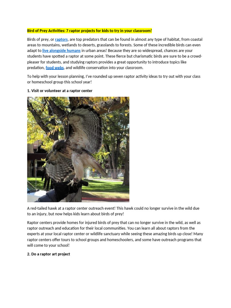 Bird of Prey Activities - 7 Raptor Projects for Kids to Try in Your ...