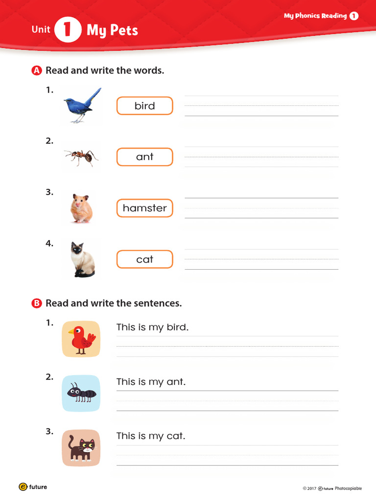 My Phonics Reading 1 - Writing Worksheets | PDF