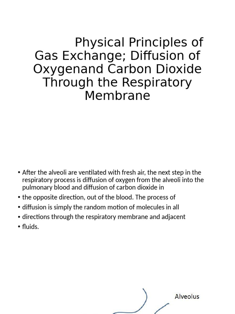Gas Exchange: Diffusion Principles Explained | PDF | Respiratory System ...