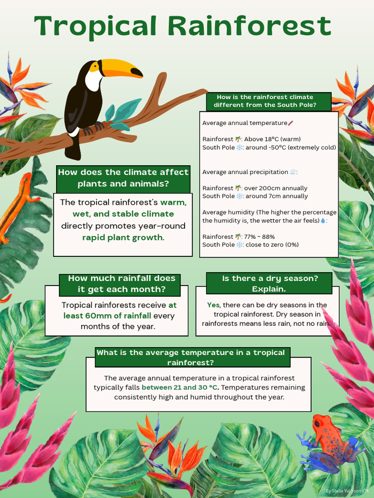 Tropical Rainforest PDF | PDF
