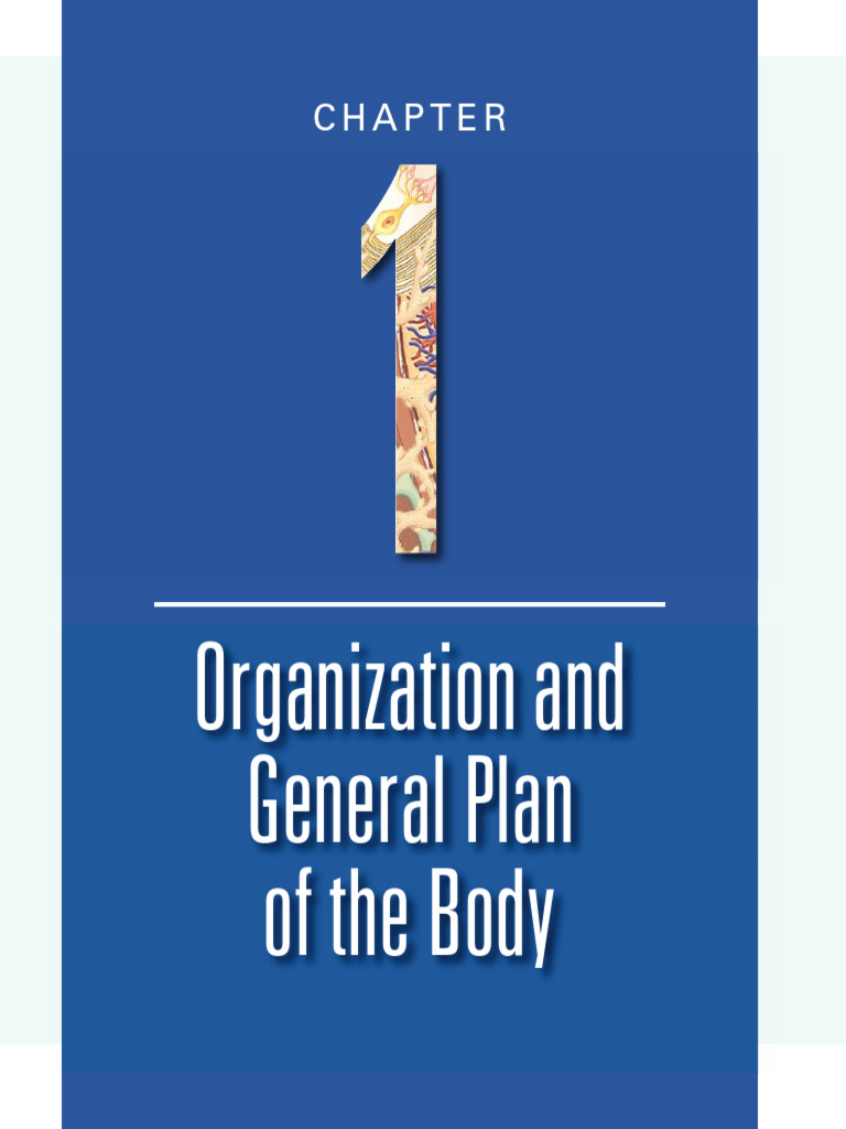 Essentials of Anatomy and Physiology - (Chapter 1 Organization and General Plan of The Body ...