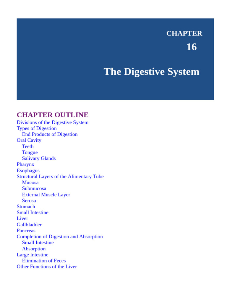 Overview of the Digestive System | PDF | Digestion | Human Digestive System