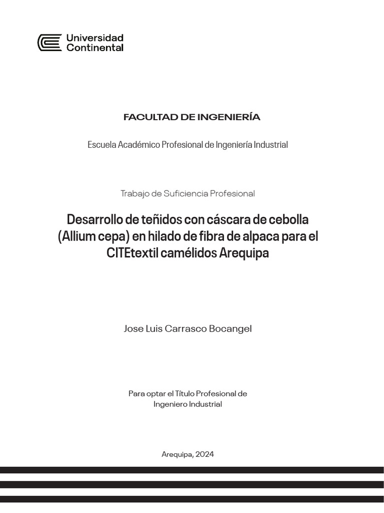 IV FIN 108 TSP Carrasco Bocangel 2024 | PDF | Textiles | Spinning ...
