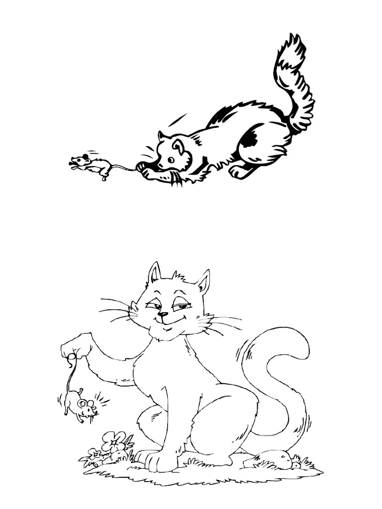 Cat Chase Mouse | PDF