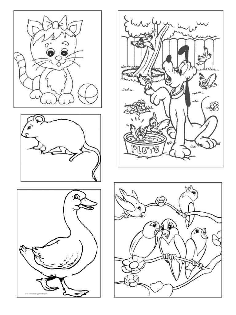 Animals | PDF