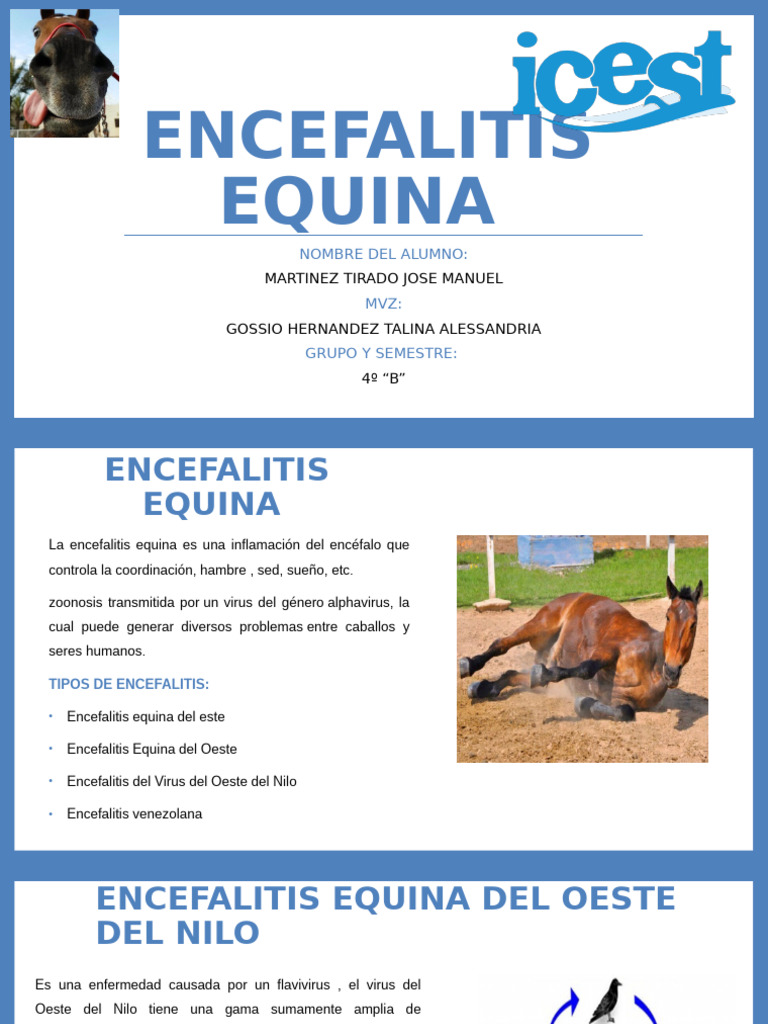 Encefalitis Equina | PDF | Virus | Sistema complementario