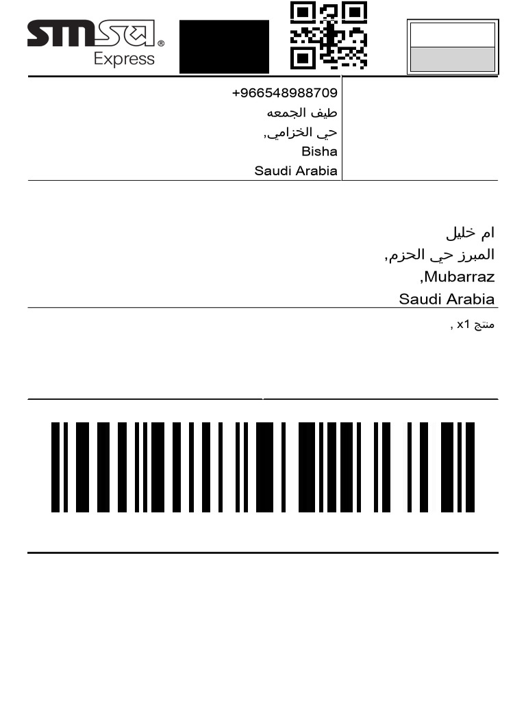 Ship To:: Ship Date: 15/09/2025 Dv:Sar 200 Wgt:10 KG PCS: 1 | PDF