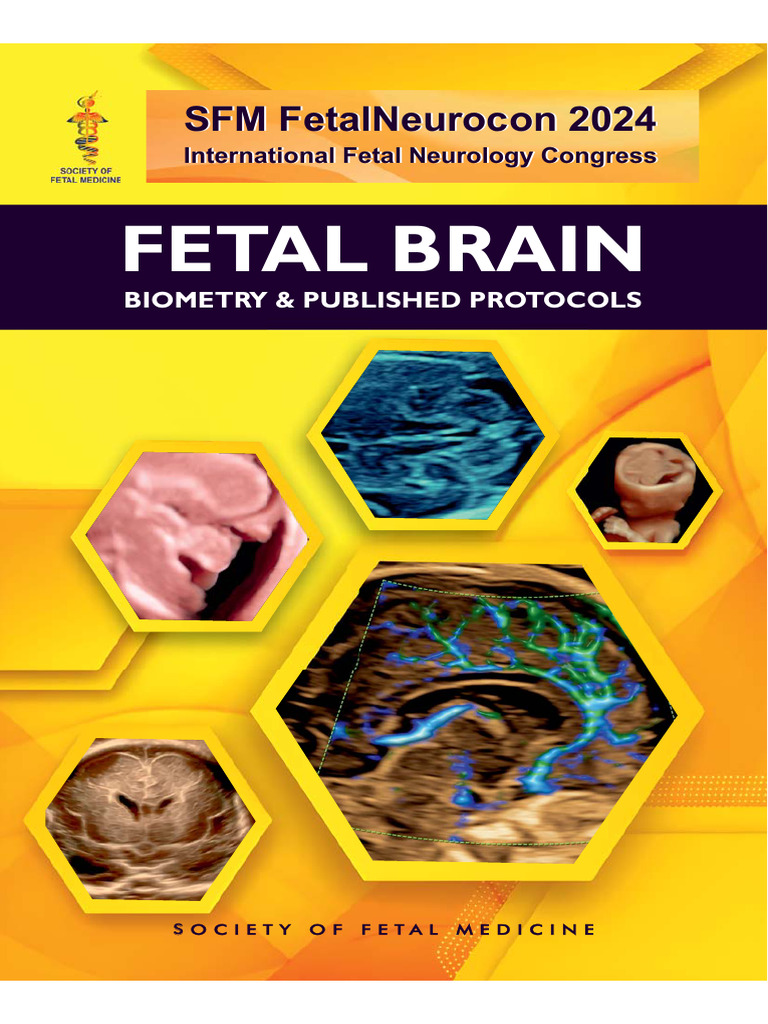 Fetal Brain Biometry Protocols 2024 | PDF
