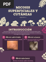 Piedraia Hortae | PDF | Hongo | Infección