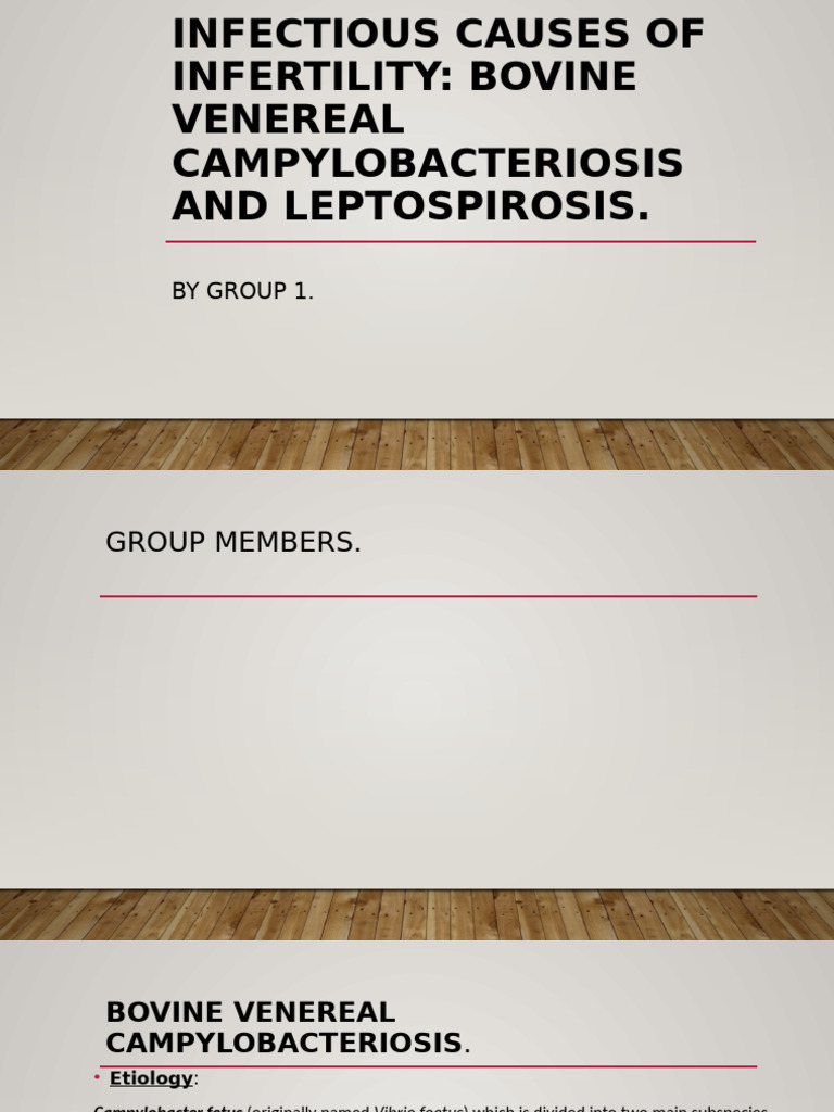 Infectious Causes of Bovine Infertility | PDF | Medical Specialties ...