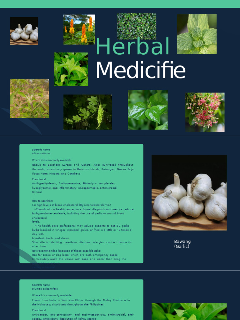 Herbal Medicine | PDF | Garlic | Medical Specialties