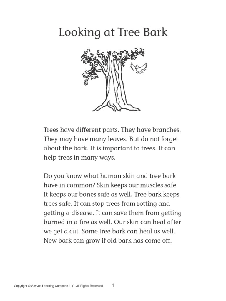 Tree Bark | PDF