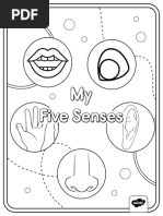5 Senses Booklet | PDF