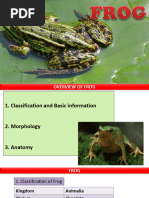 Frog vs Human Organ Systems Explained | PDF | Human Digestive System ...