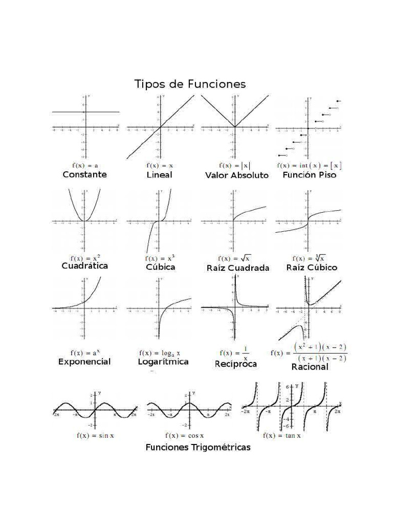 Tipos de Funciones | PDF
