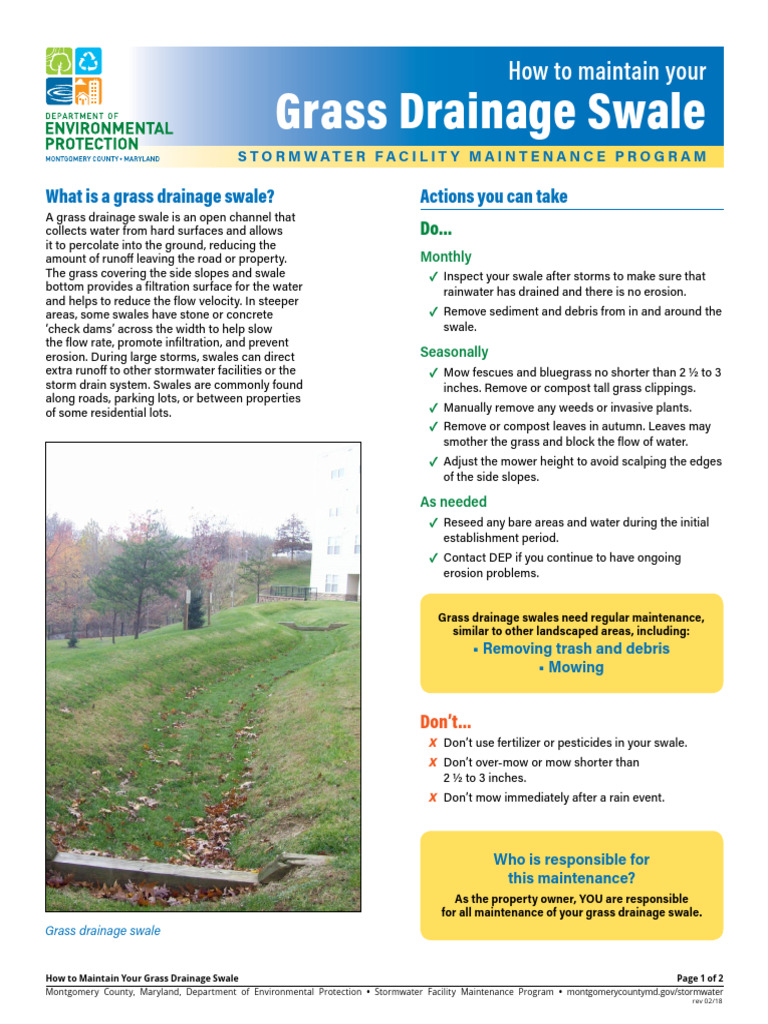Grass Swale | PDF | Earth Sciences | Physical Geography