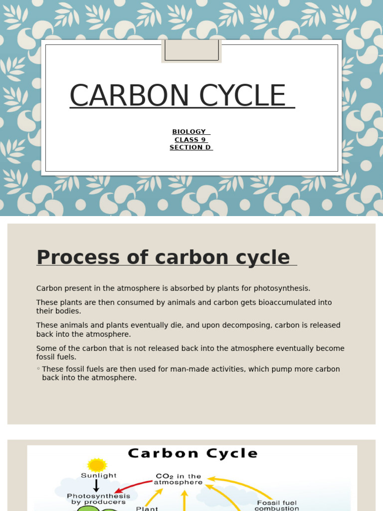 Class9D Biology Carbon Cycle | PDF | Carbon Cycle | Carbon
