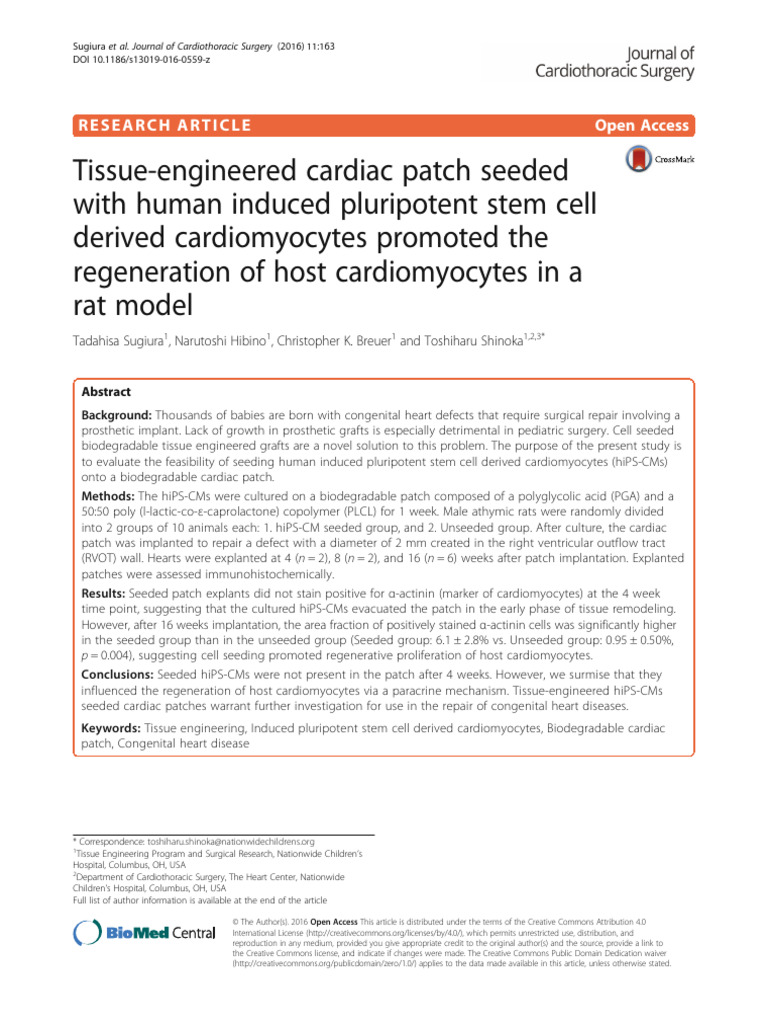 Cardiac Patch with hiPS-CMs Enhances Regeneration | PDF | Tissue ...
