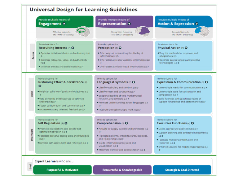 UDL Guidelines | PDF