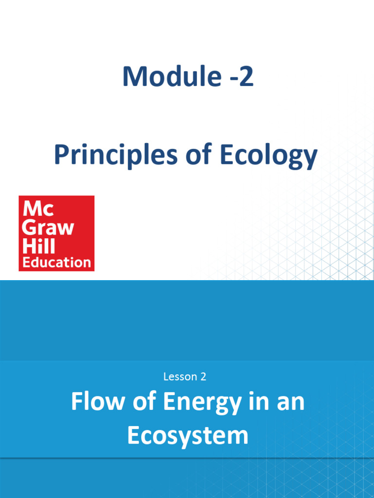 Teacher PowerPoint - Flow of Energy in An Ecosystem | PDF