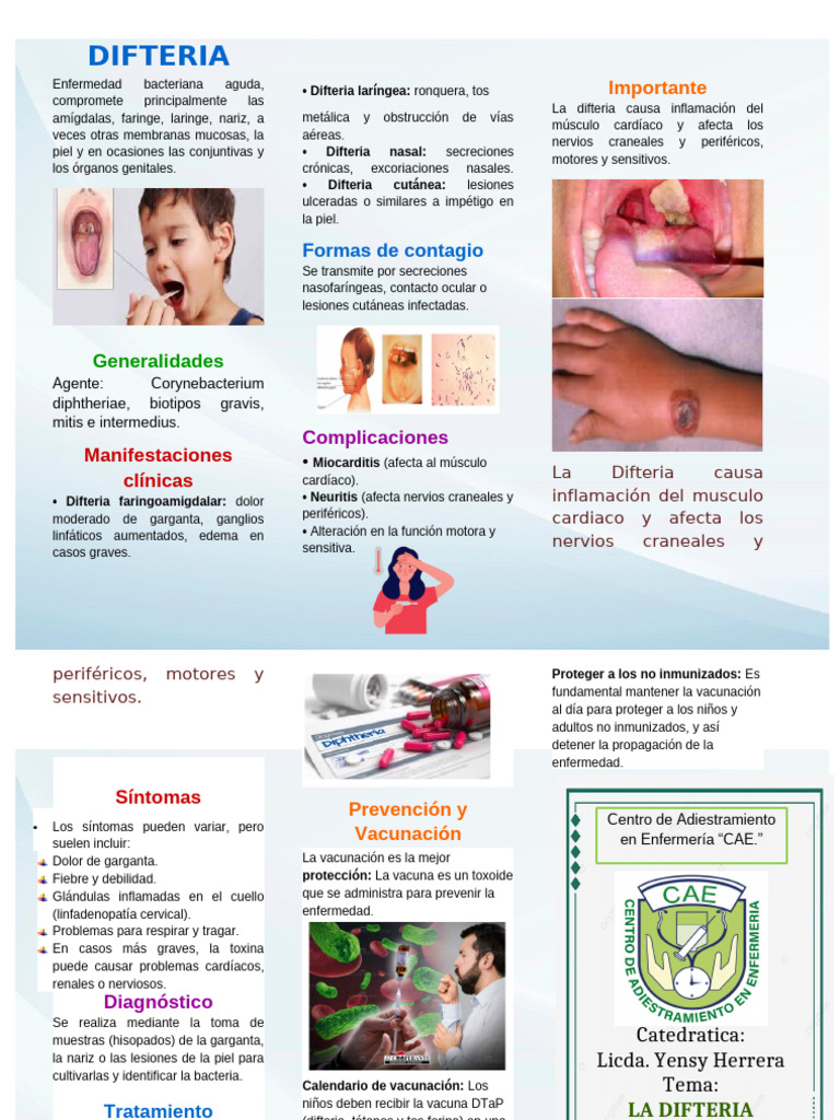 Difteria: Síntomas y Prevención | PDF | Inmunología | Medicina