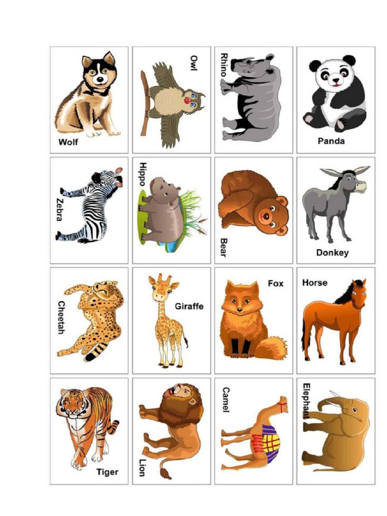 Animal FlashCards | PDF