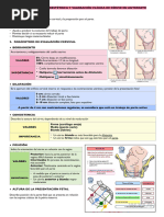 Guía de Cervicometría FECOPEN | PDF | Parto prematuro | Parto
