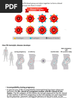 Circulatory System of Frog | PDF | Heart | Atrium (Heart)