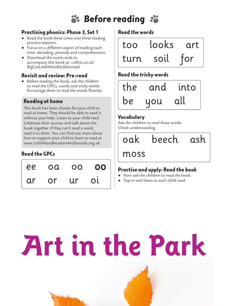 Big Cat Phonics For Little Wandl RNIB Bookshare5-3 | PDF | Written ...