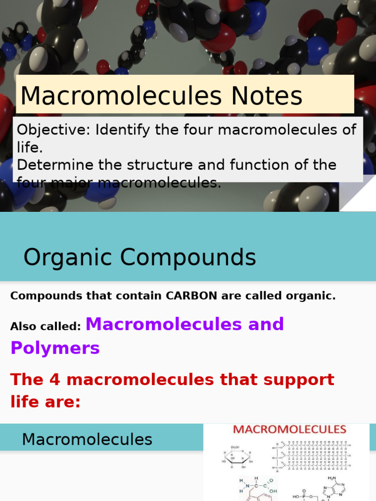 Macromolecules Notes | PDF | Carbohydrates | Glucose