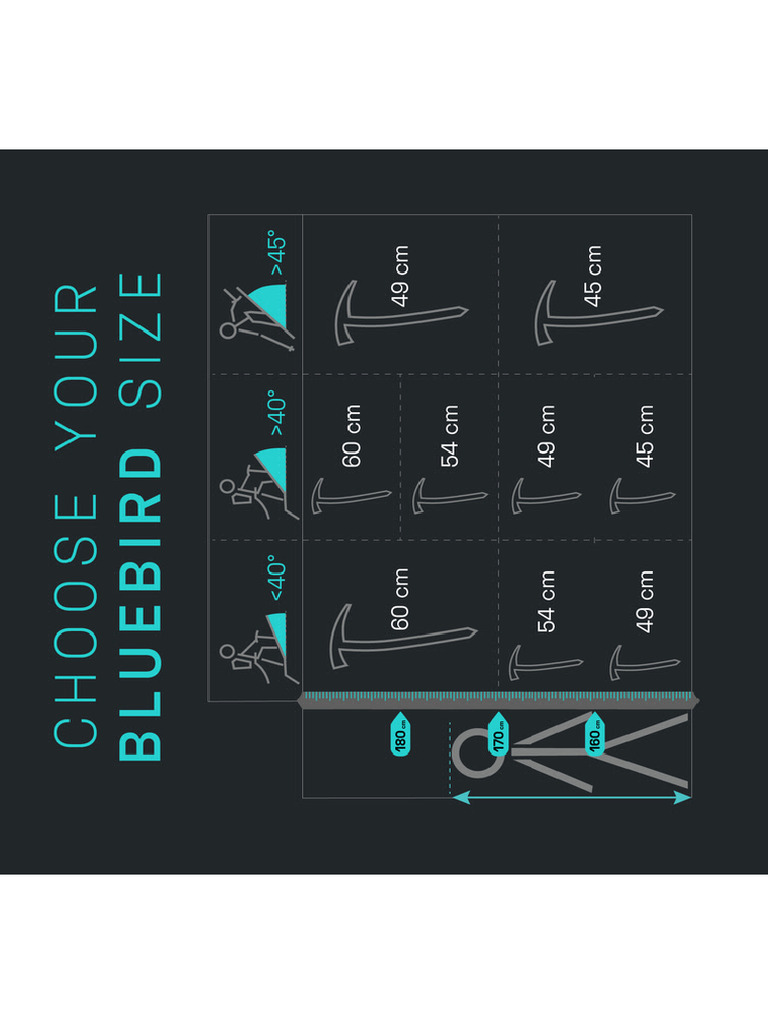 Bluebird Axes | PDF