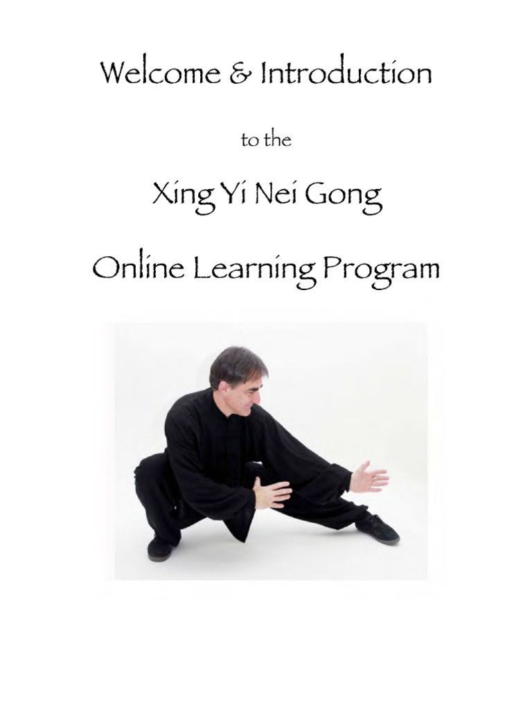 Xing Yi Nei Gong Online Program Guide | PDF