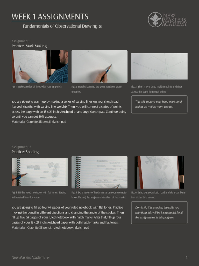 Fundamentals of Observational Drawing Week 1 Assignments DK | PDF | Pencil | Drawing