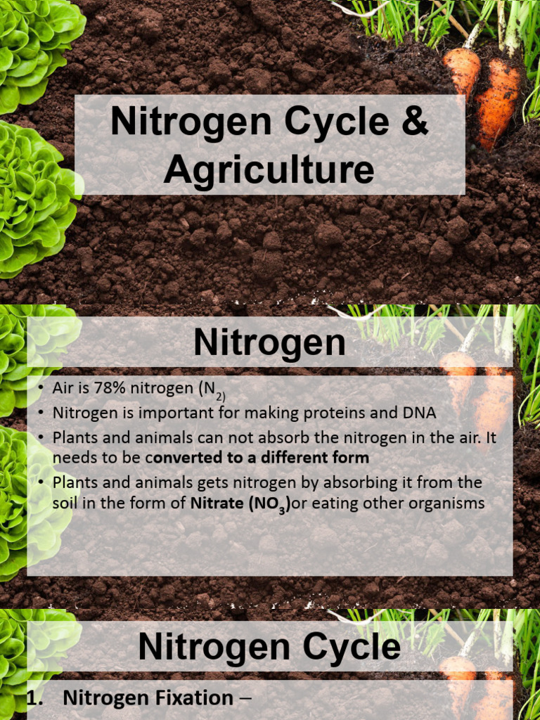 Understanding the Nitrogen Cycle | PDF | Nitrate | Biology