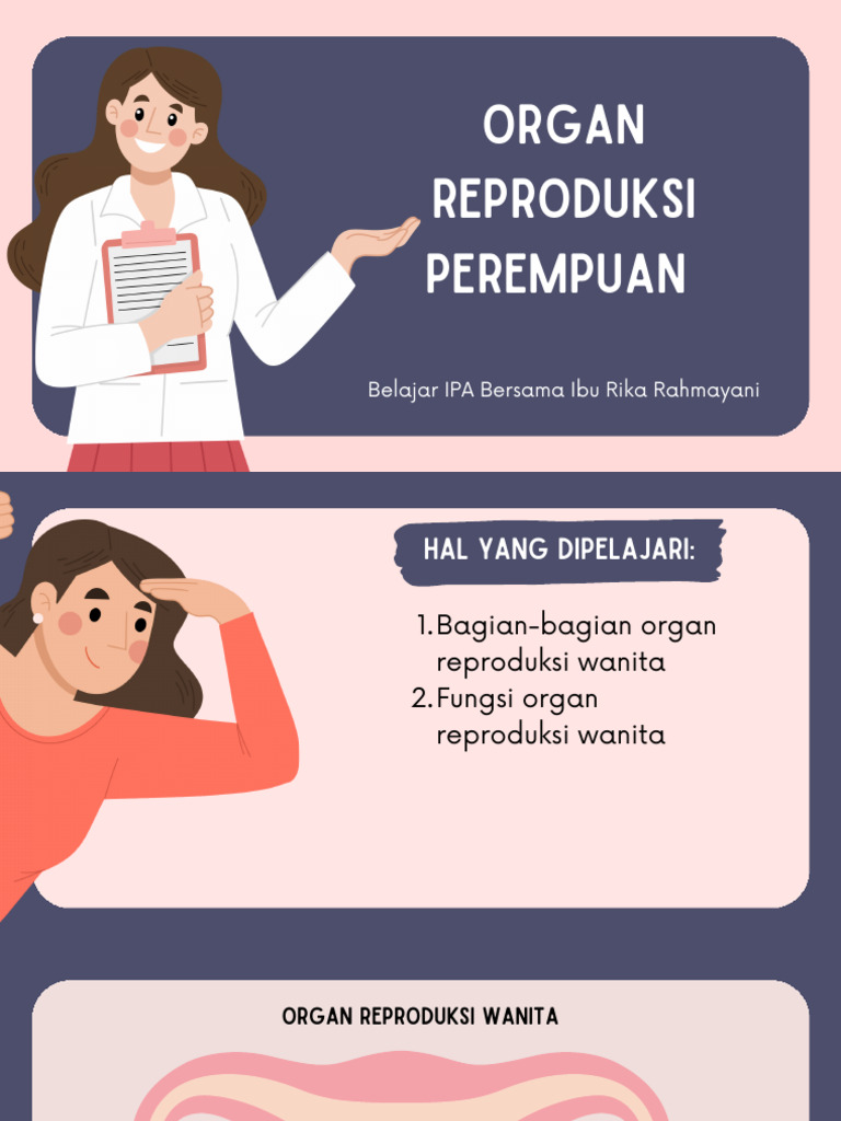 Organ Reproduksi Perempuan | PDF