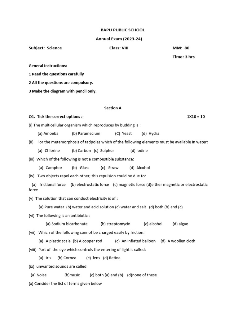 Babhu Public School Paper Class 8th Science Annual Exam (23-24) | PDF
