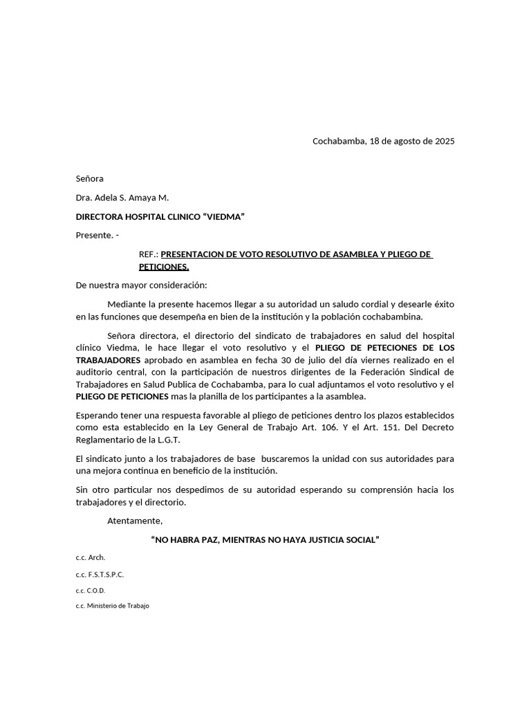 Voto Resolutivo y Pliego de Peticiones | PDF