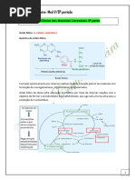 Folicil: Indicações e Posologia | PDF | Vitamina | Anemia