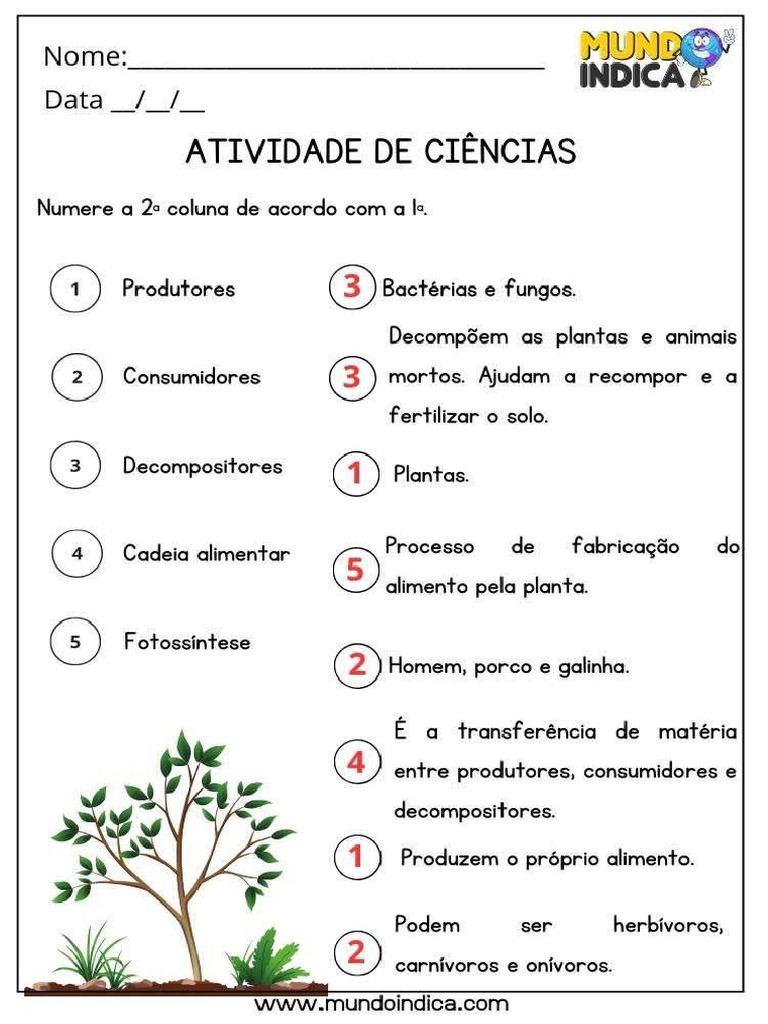 Atividade de Ciencias Sobre Produtores Consumidores Decompositores ...